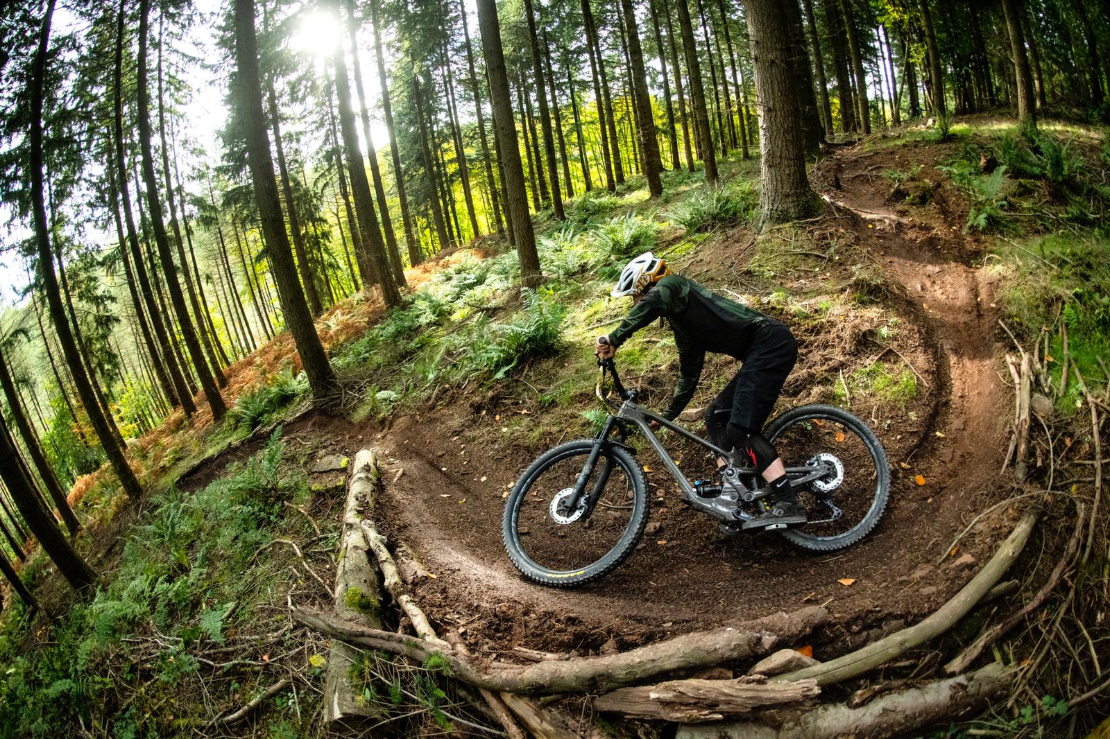 Home Page - Benchmark Bicycle Repairs